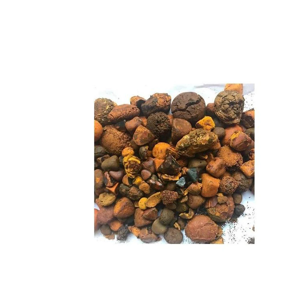 Cattle Gallstone Cow Gallstone Ox Gallstone Ox Bezoars Cow Bezoars ...