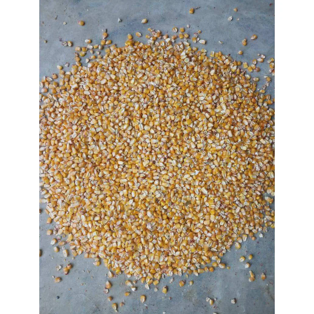 Wholesale Price Yellow Corn For Human Consumption And Animal Feed ...