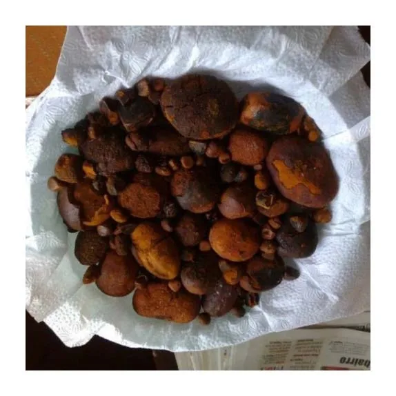 Ox Gallstones 80/20 Cow,Ox,Cattle Gallstones 100% Natural Ox Gallstones ...
