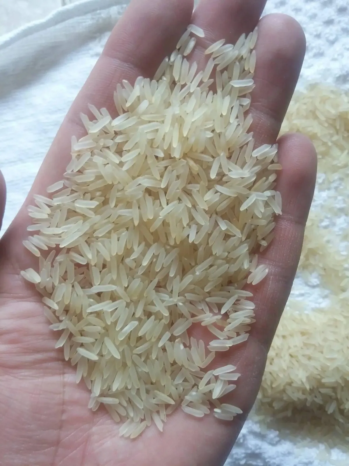 Wholesale Jasmine Rice Exporter Long Grain Fragrant Rice White Rice ...