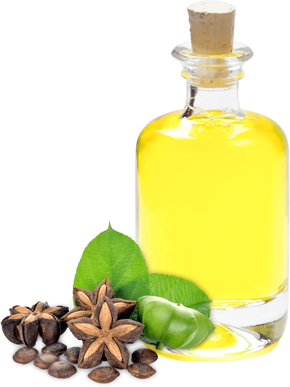 Wholesale Price Sacha Inchi Oil New For Cosmetics/massage Sacha Inchi ...