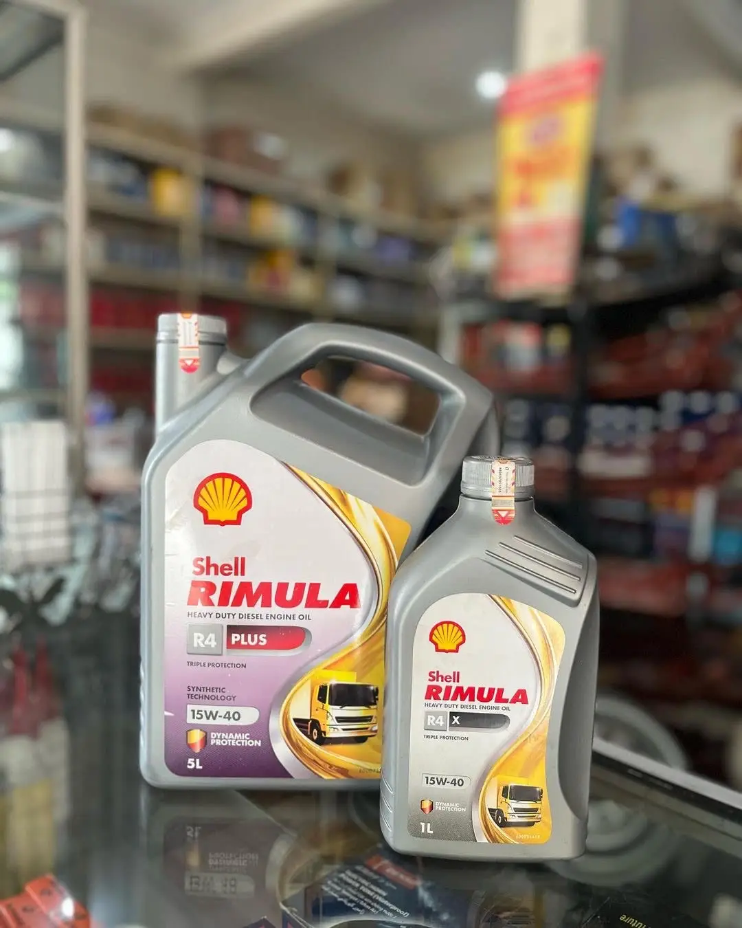 Shell Rimula Series Shell Rimula R4 - Buy Shell Rimula Series Shell ...
