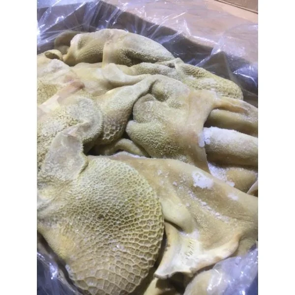 Fresh Beef Tripe And Honeycomb Available For Buyers - Buy Beef,Beef ...