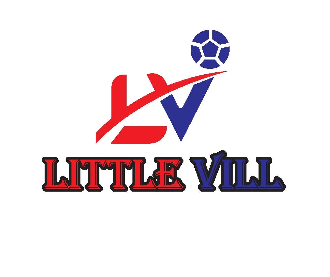 Company Overview - LITTLE VILL INDUSTRIES