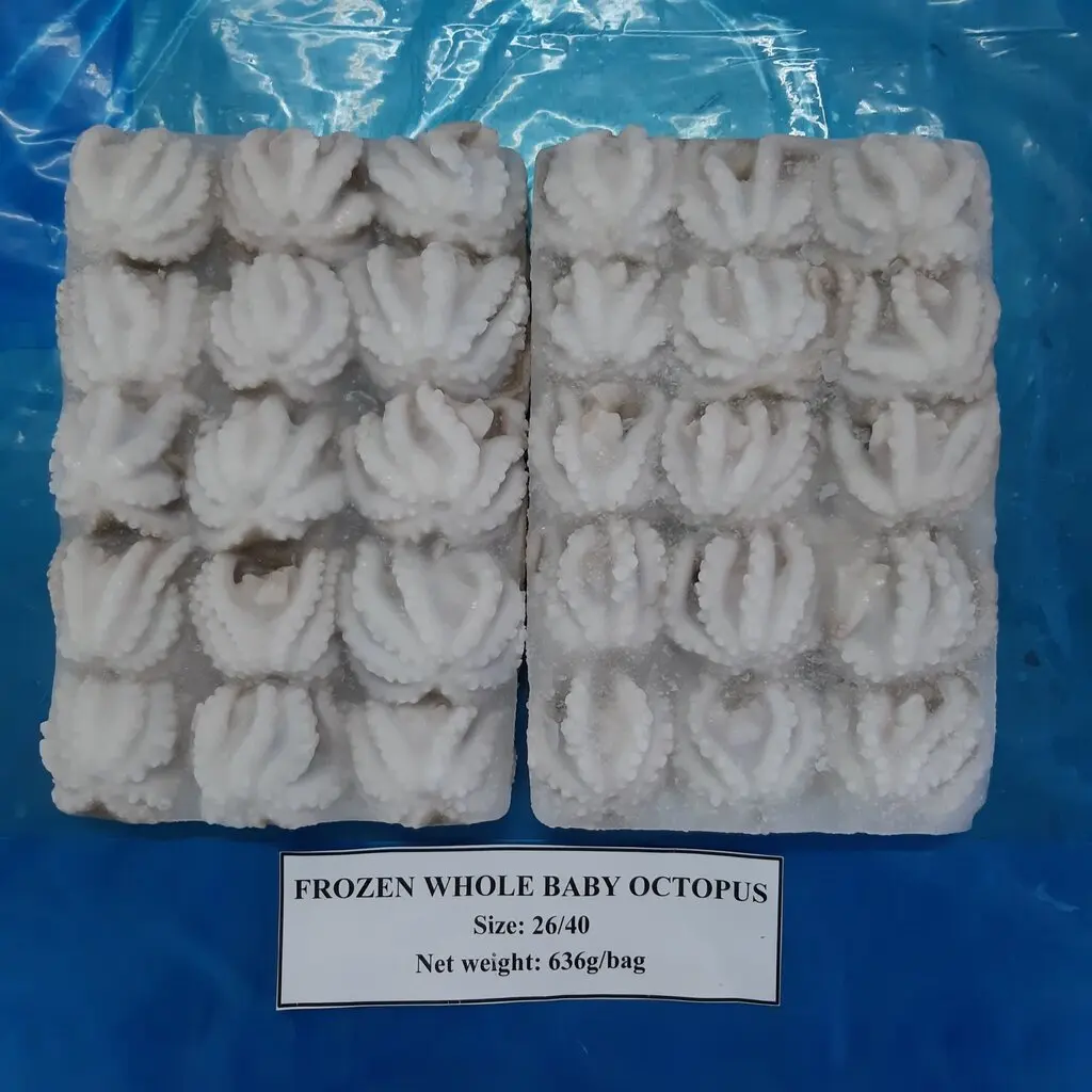 Wholesale Delicious Frozen Baby Octopus/baby Octopus Fish From Vietnam ...