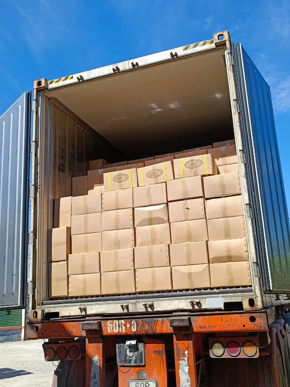 Hand Fan Bamboo Material Fan Colorful Custom Pattern For Gifting ...