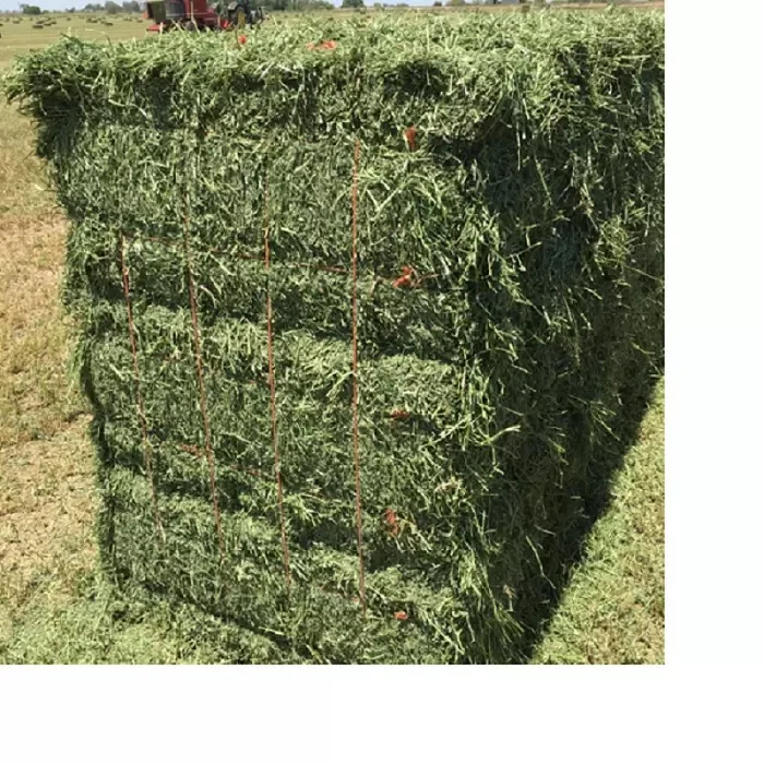 Quality Alfalfa Hay Bays / Alfafa Pellets / Dehydrated Alfalfa Cubes ...