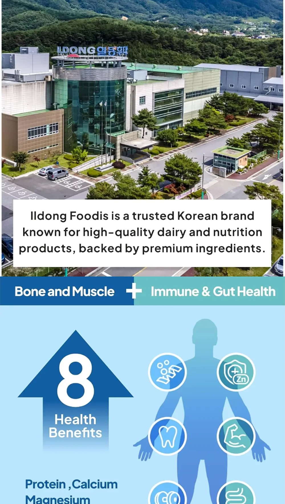 [ILDONG foodis] Himmune Protein Balance L 608g Powder for Energy ...