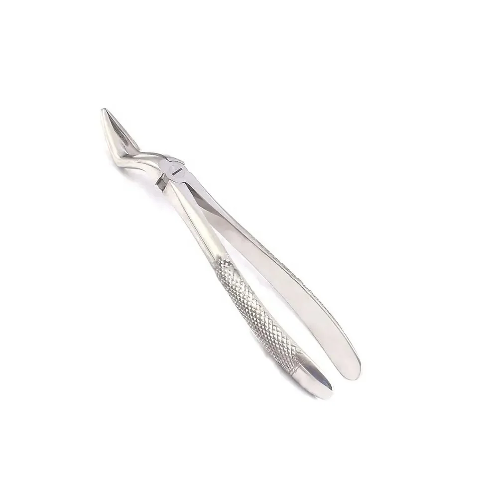 Alibaba.com: Pakistan Factory Dental Extraction Forceps for Upper ...
