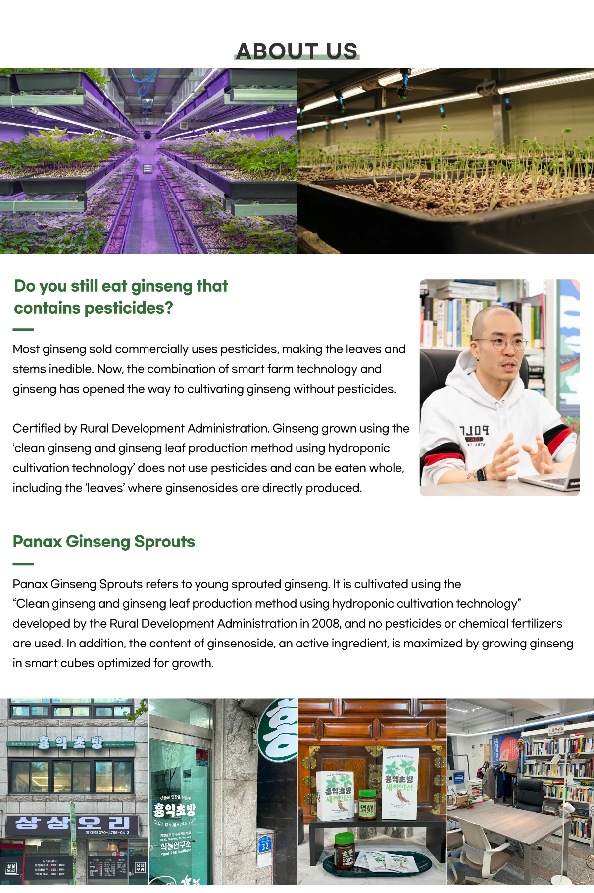 Korean Red Ginseng Extract Tea High Quality Ginseng Root Extract Panax ...