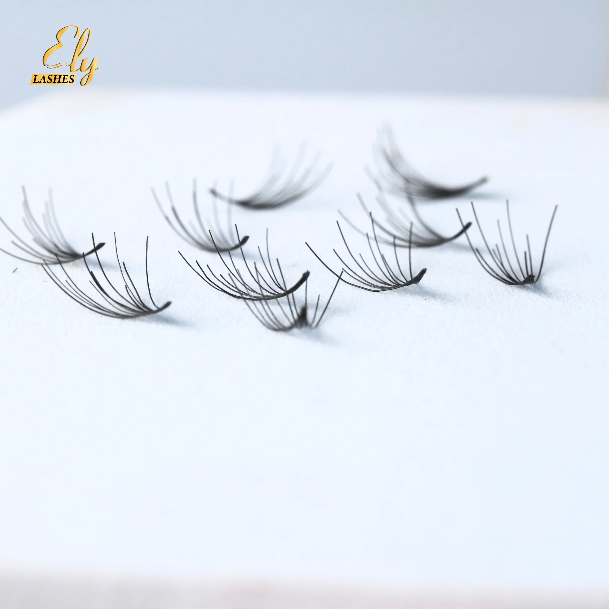 Knot-Free Lashes Fan Eyelashes C CC D DD B J L LC L M Cheap Price OEM ...