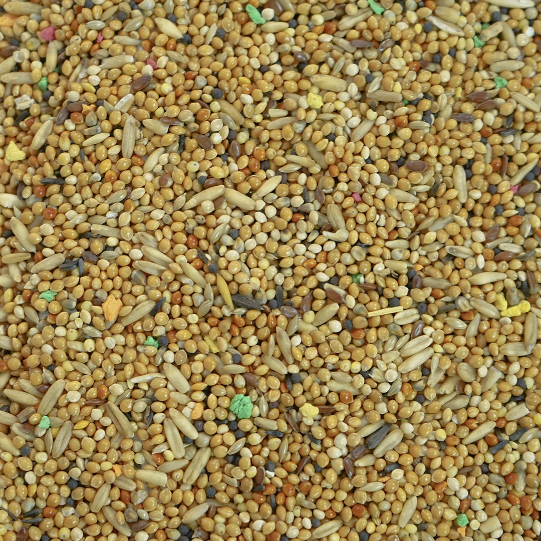 Alibaba.com: Premium Bird Food 20KG Bag, Healthy Seed Blend for Budgies ...