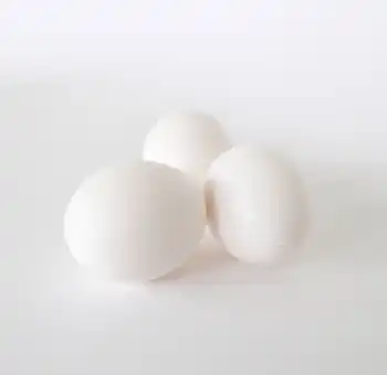 Cheap Farm Fresh White Shell Chicken Eggs Table Organic Fresh Chicken ...