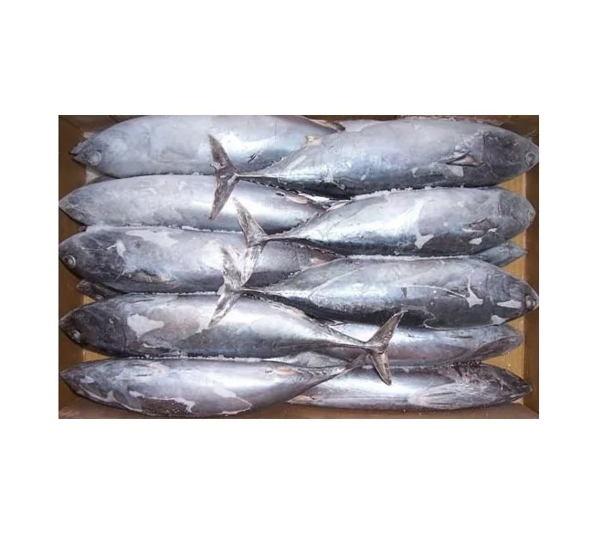 Frozen Skipjack Frozen Bonito Tuna Fish - Buy Seafood Frozen Whole ...