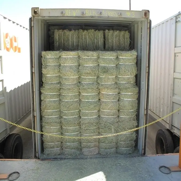 Bulk Supply Alfafa Hay Ready For Supply/ Alfalfa Hay With High Protein ...