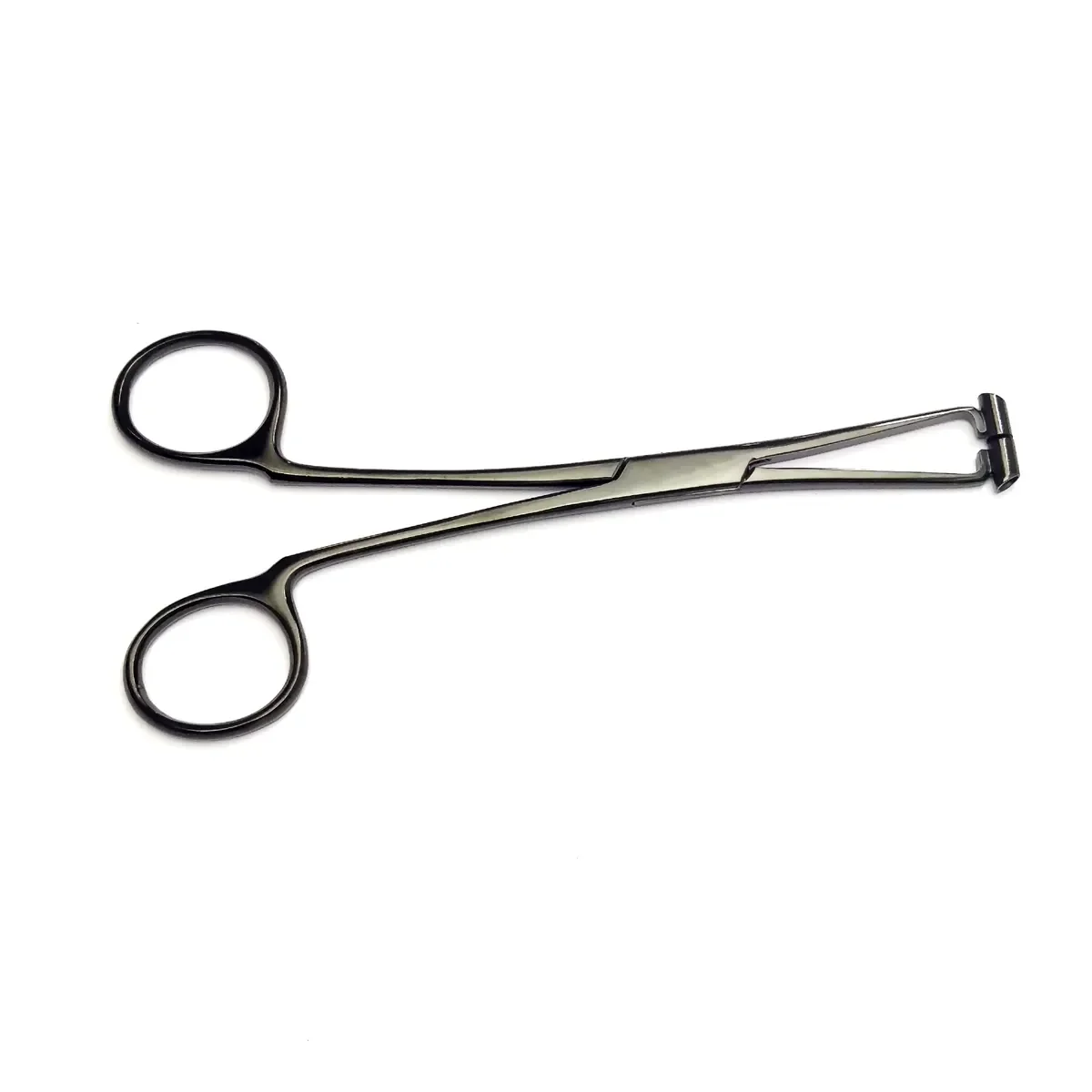 Black Color Piercing Septum Forceps 15.5 Cm Stainless Steel Rust Proof ...