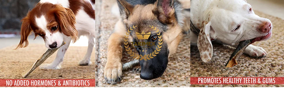 PREMIUM QUALITY OCEAN CHEWS CRISPY COD FISH SKINS BEAMS SALMON FISH ...