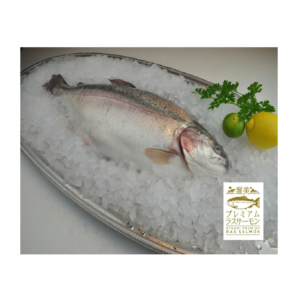 Japanese Salmon Seafood Recirculating Aquaculture System Fish Farm ...