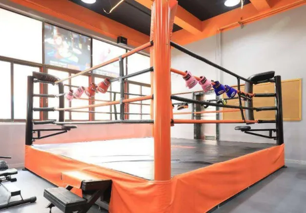 Invention Sports - Durable Canvas Ring Covers for Boxing