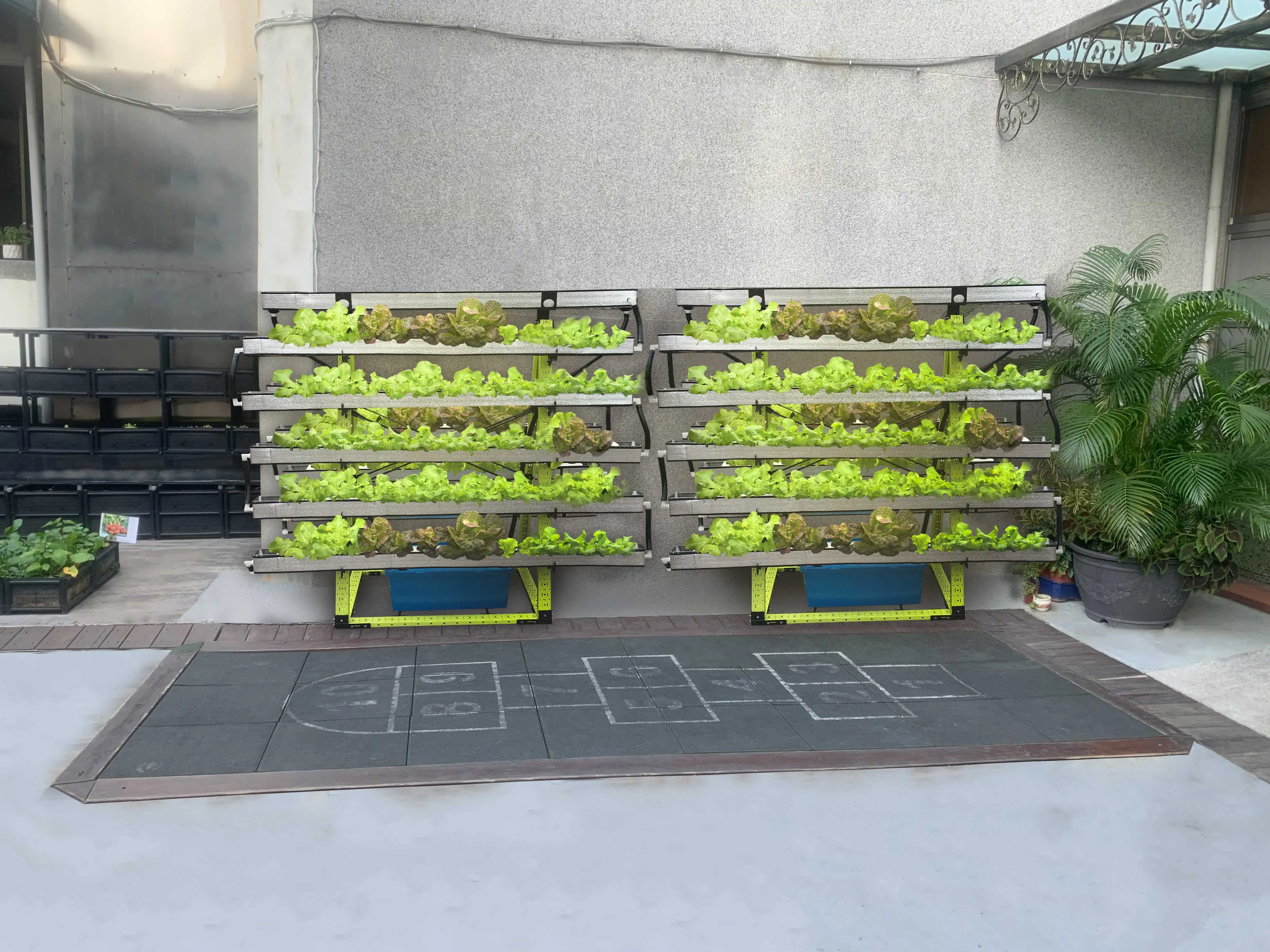 Net Cup Nft System Hydroponics - Buy Hydroponic Tower Garden Product on ...