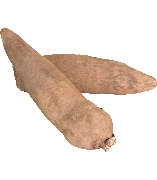 Fresh White Yam/ Purple Yam Nutritious Delicious From Vietnam ...