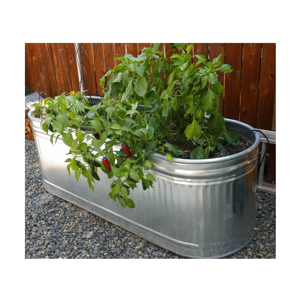 Custom Raised Metal Garden Bed Garden Steel Planter Box Outdoor Patio ...