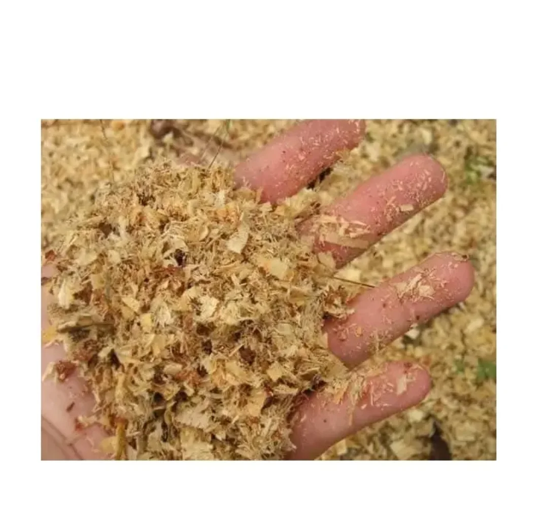 Hot Sale Saw Dust Agricultural Waste Cheap And Good Quality Saw Dust ...