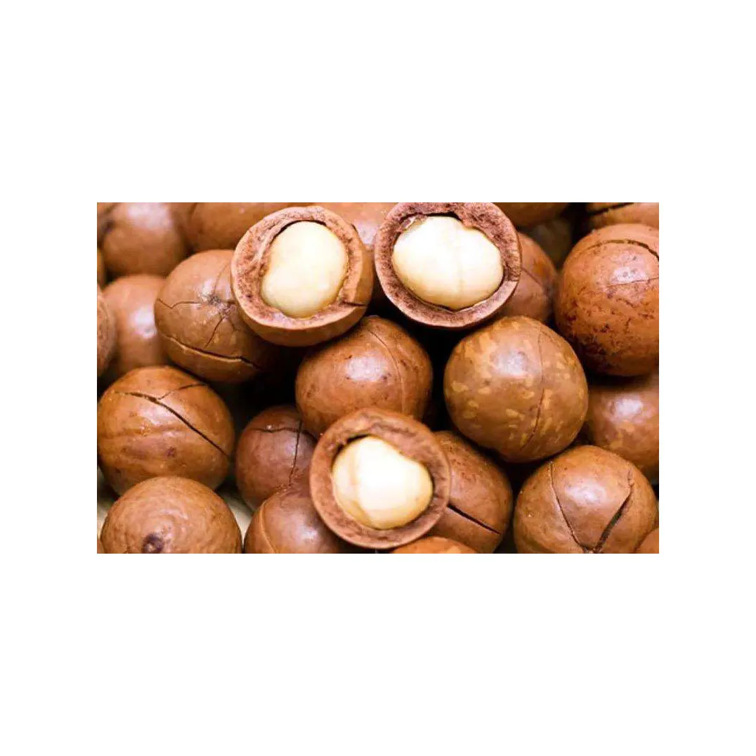 Macadamia Nuts Raw Salted Roasted Maca Powder Healthy Food Macadamia In ...