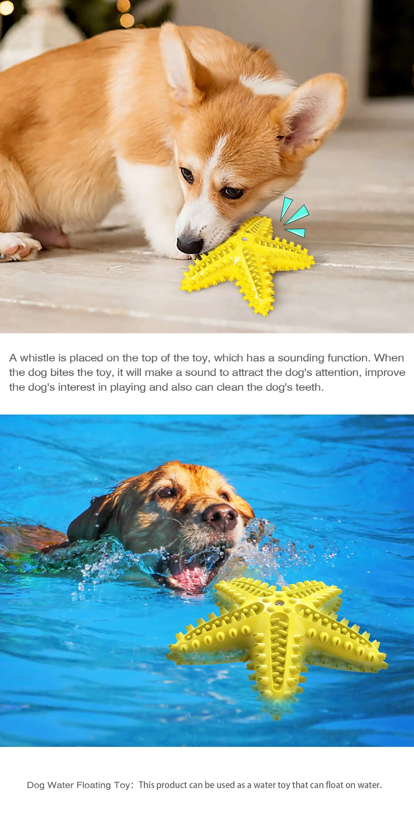 Starfish Design Water Floating Durable Dog Teeth Cleaning Toy - Buy ...