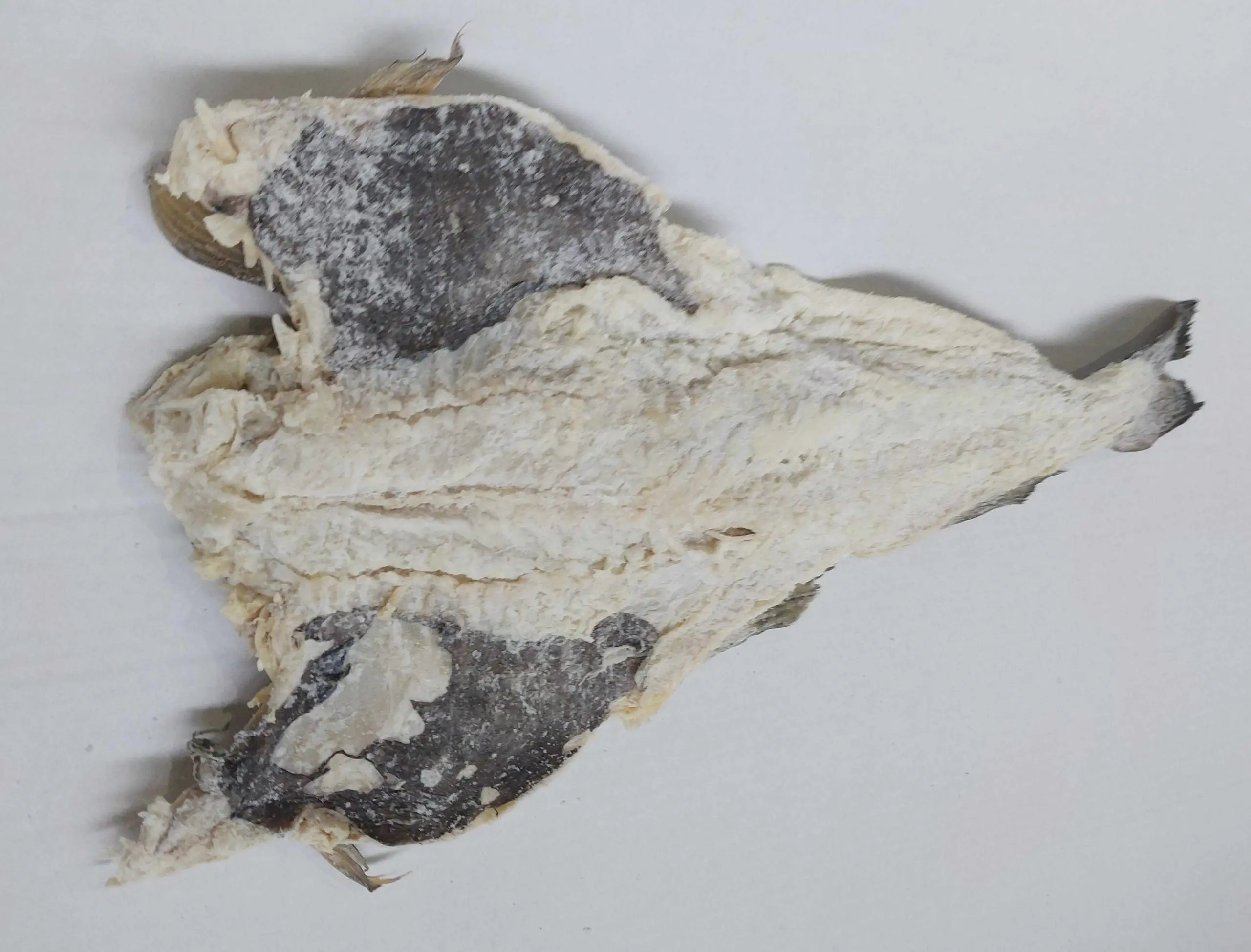 Buy Stock Fish Of Cod In 45kg Bales Dryfish Stockfish (dried Cod) - Buy ...