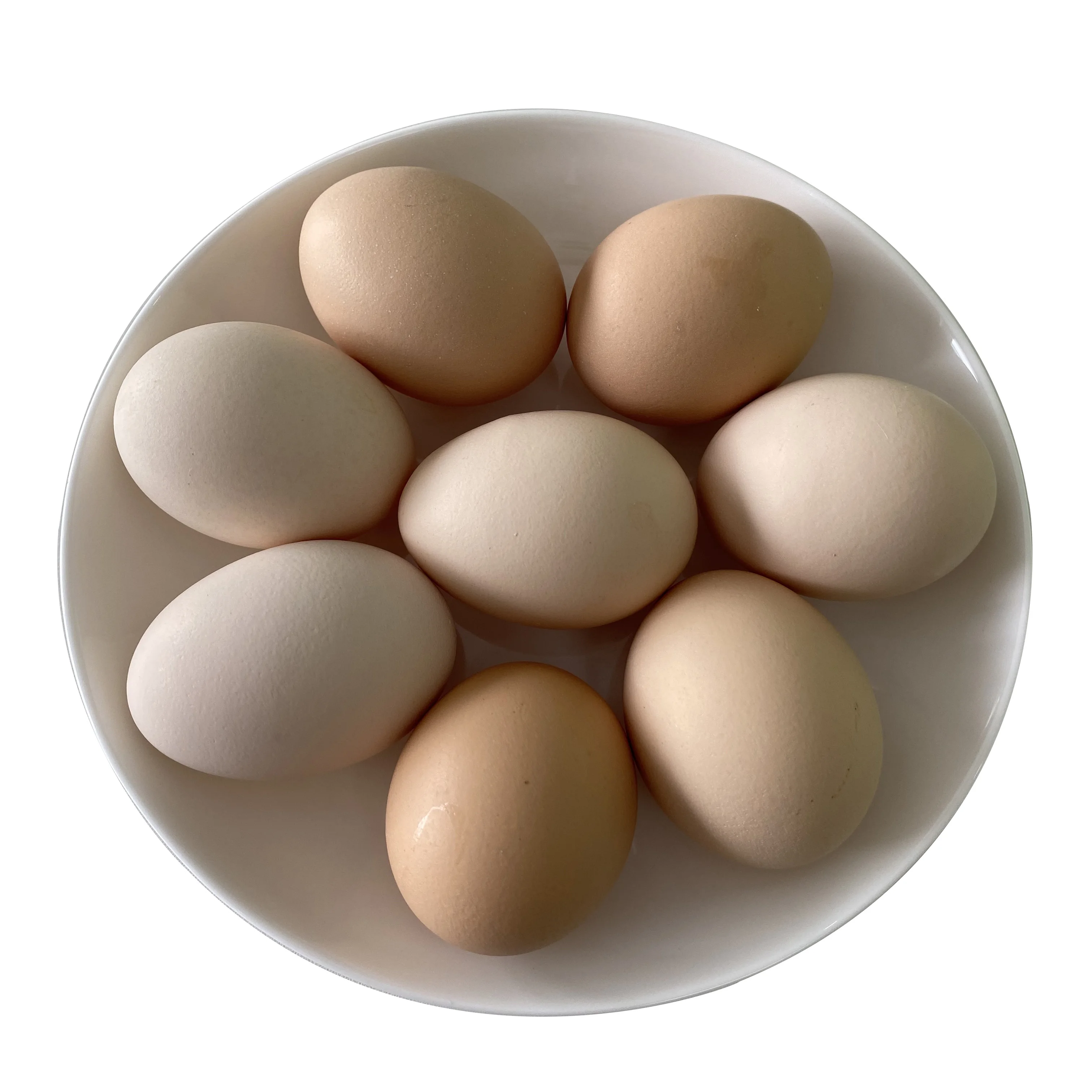 Farm Fresh Chicken Table Eggs Brown And White Fresh Brown White Table ...