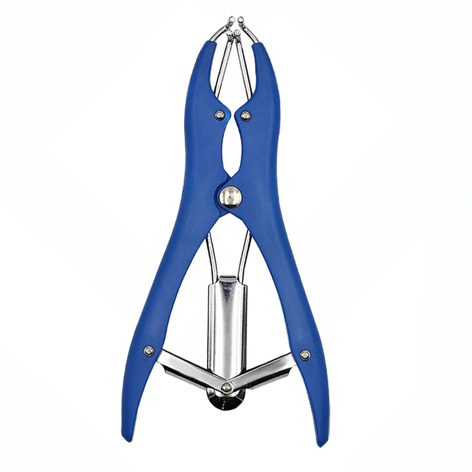 Elastrator Cattle Lamb Sheep Castration Plier Rubber Ring Applicator 100 Docking Rings ...