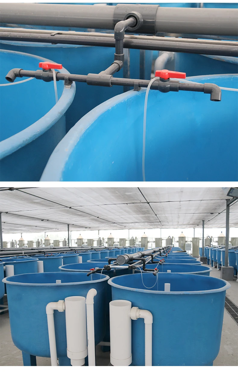 Qlozone FRP Aquaculture Fish Tanks - Customized Solutions