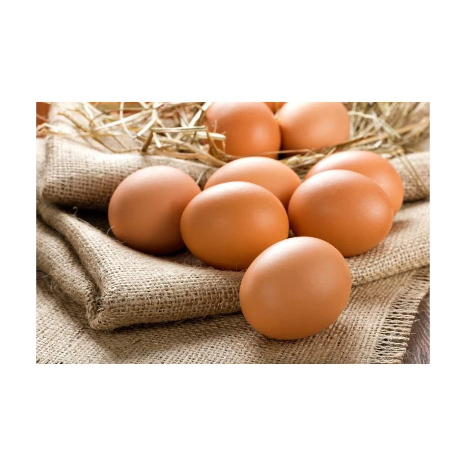 Best Quality Organic Fresh Chicken Brown Table Eggs & Fertilized Eggs ...