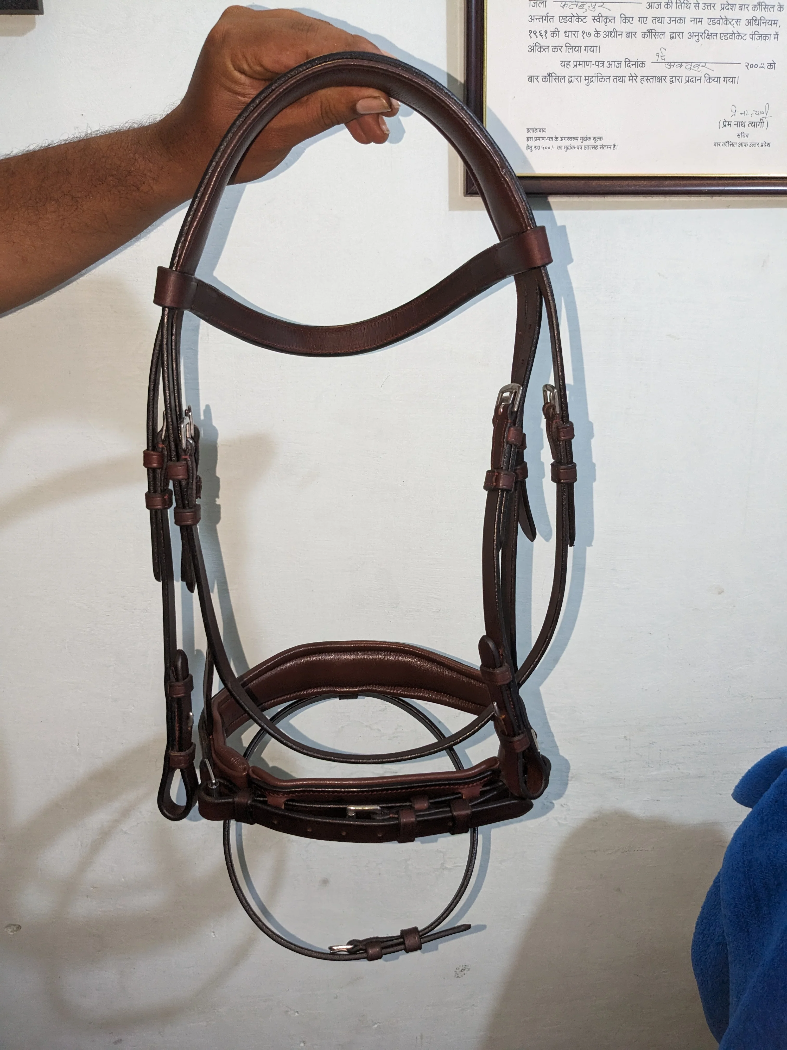 Dressage Bridle Equestrian Horse Bridle Original Genuine Premium ...