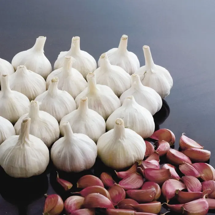 Bulk Garlic / Fresh White Garlic - Buy Bulk Garlic For Sale Fresh ...