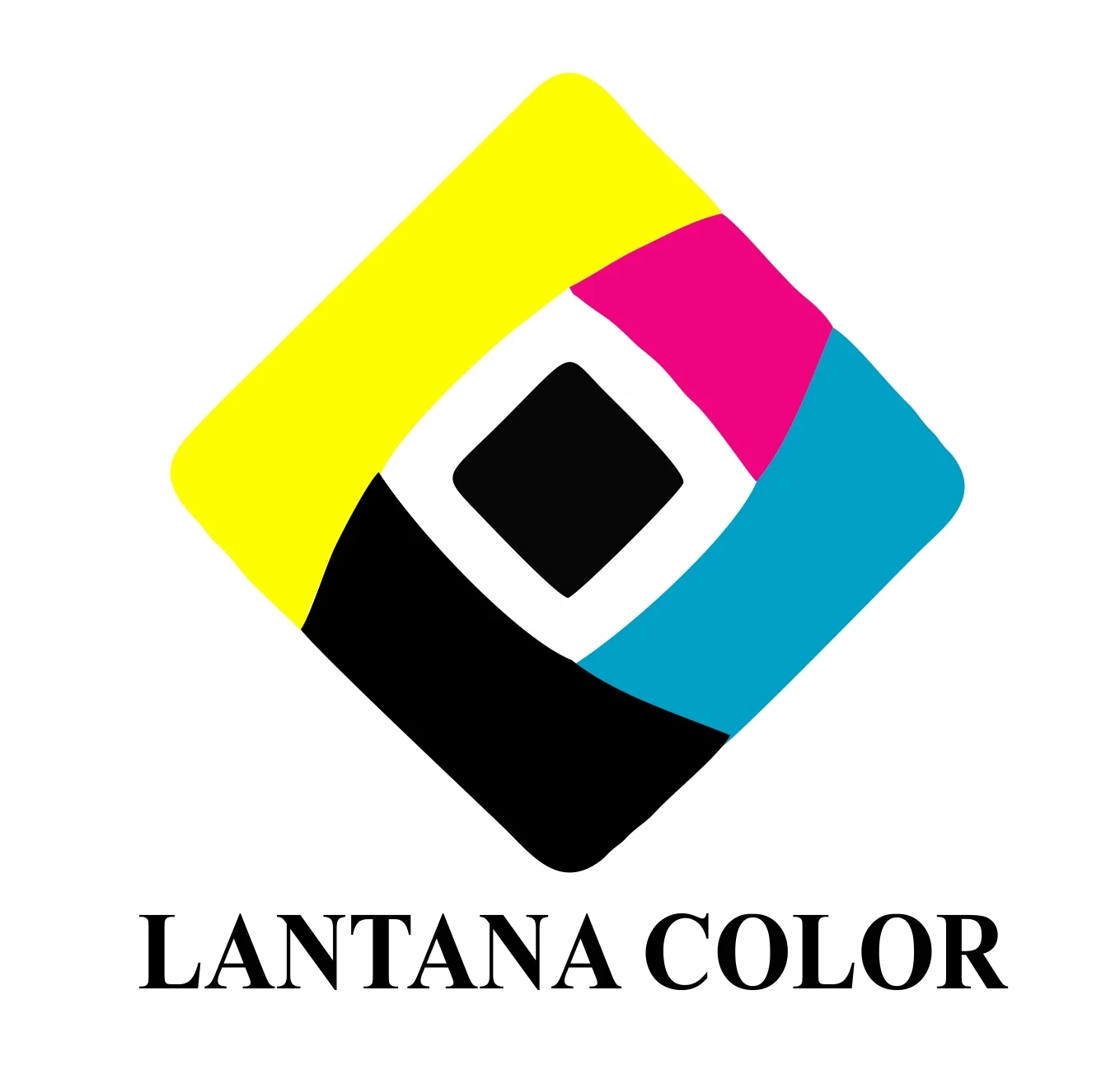 Company Overview - LANTANA COLOR TEKNOLOJI SANAYI VE TICARET LIMITED ...