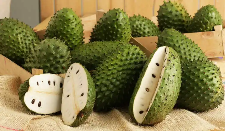Soursop Puree Supplier - IQF Soursop Fruit Puree Origin Vietnam