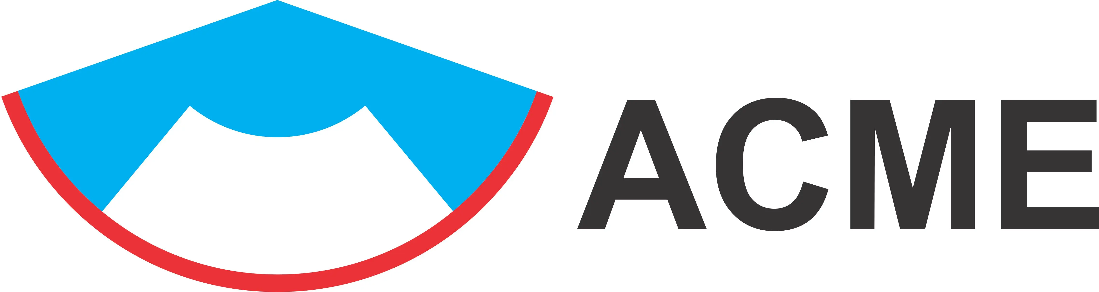 Company Overview - ACME CO., LTD