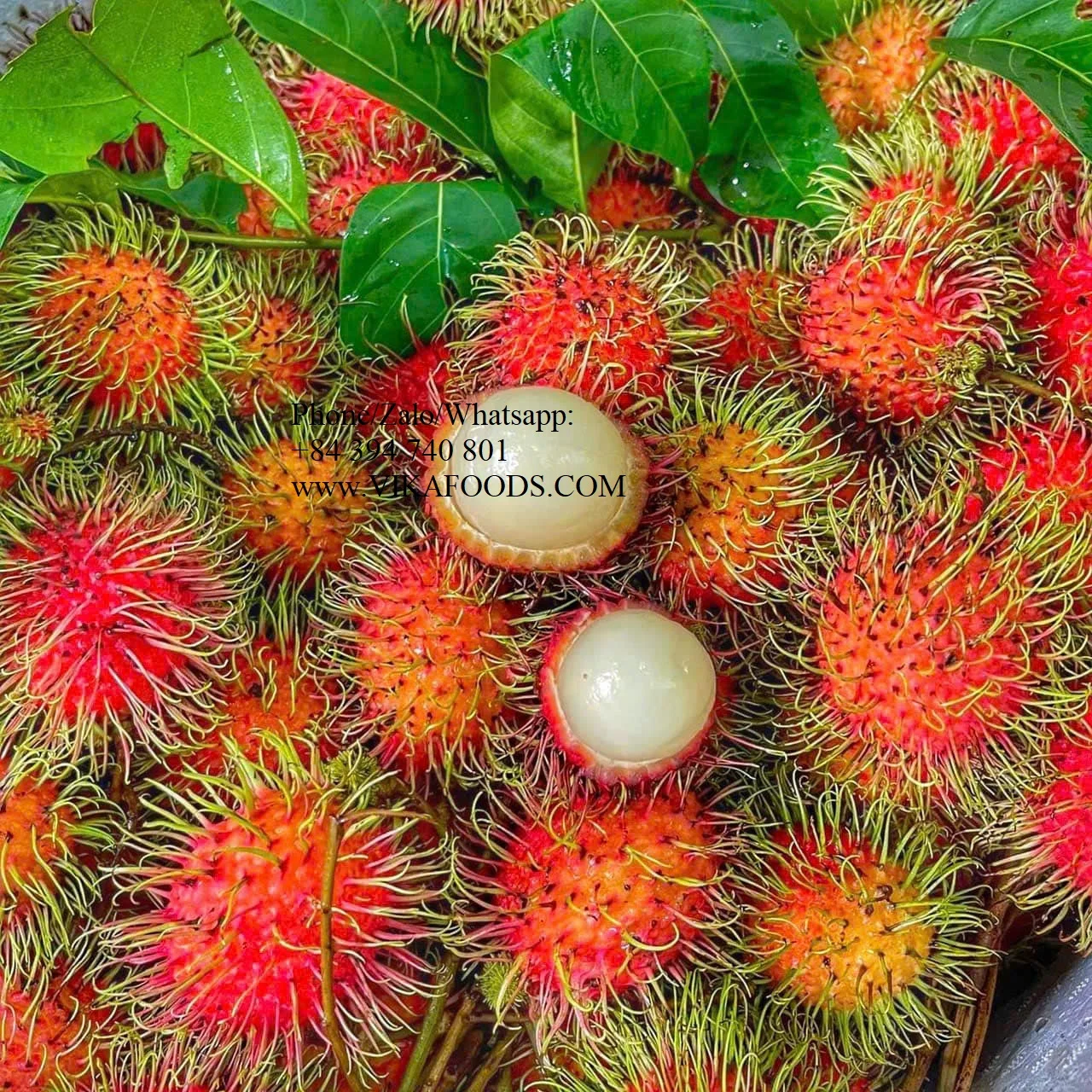 Wholesale Fresh Red Sweet Rambutan Viet Nam For Eaten Raw Or Cuisine ...