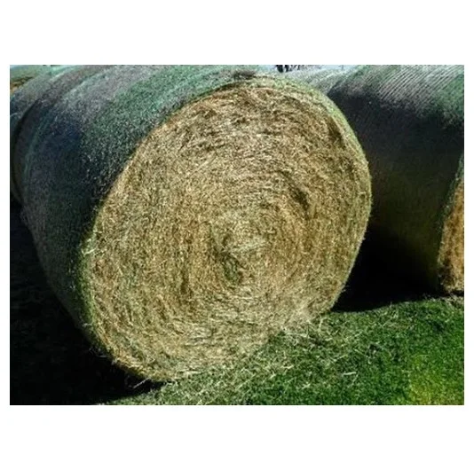 Quality Timothy Hay Quality Alfalfa Hay/ Timothy Hay And Lucerne Clover ...