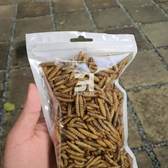 Factory Supply Dried Black Soldier Fly Larvae With High Quality And ...