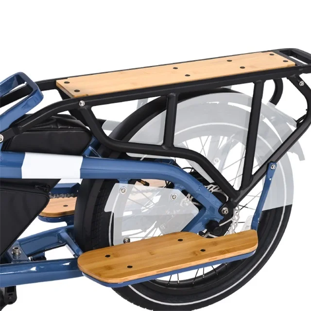 2 Battery Electric Cargo Bicycle Long Range Electrically Cargo Bike 2 ...