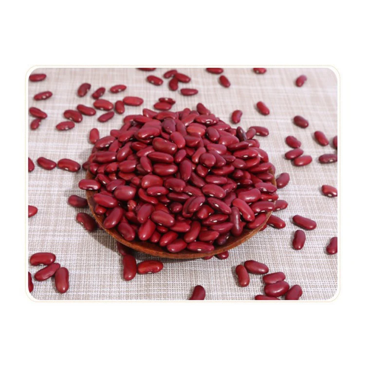 Red Kidney Bean Red Kidney Beans Wholesale Dried Dark Red Kidney Bean ...
