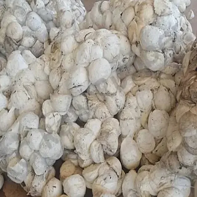 Rubber,Latex,Raw Rubber,Cup Lump Rubber - Buy Fresh Natural Latex Lumps ...