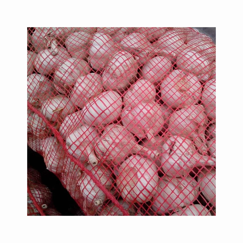 Fresh Garlic New Crop Snow White Garlic Pure White Garlic Supplier ...