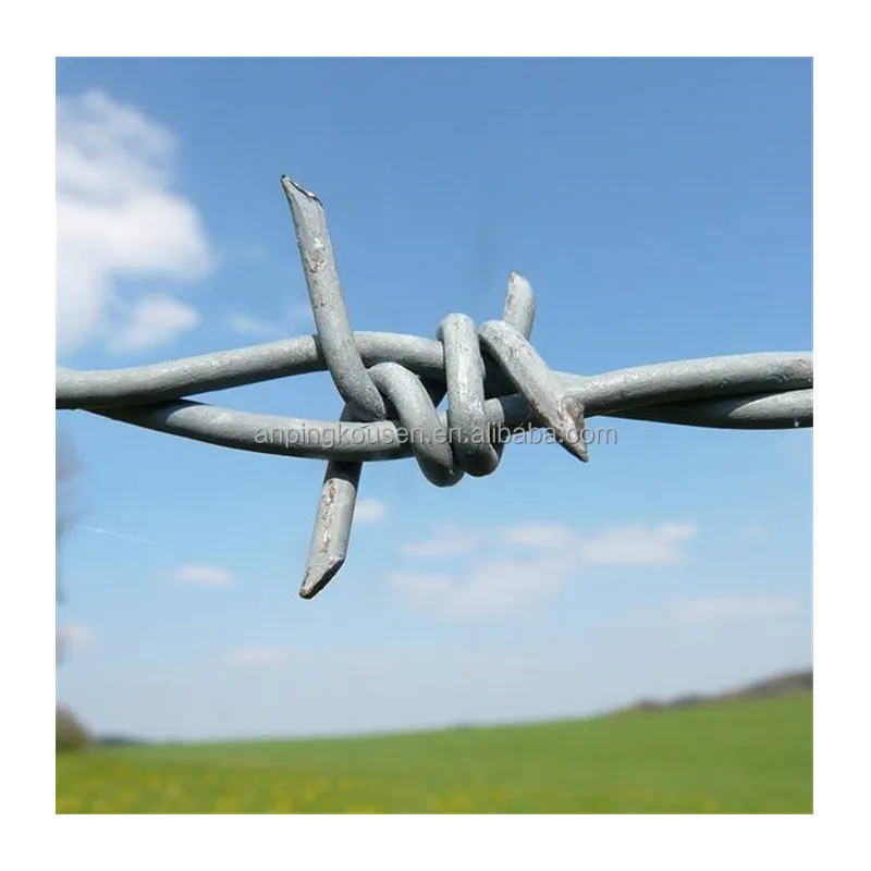 Hot Sale Barbed Wire Cbt-65 Mesh Tape Barbed Iron Wire Fabric Price ...
