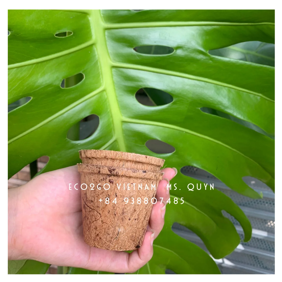 Best Seller Coconut Coir Fiber Pot/ Coconut Fiber Plant Flower Pot With ...