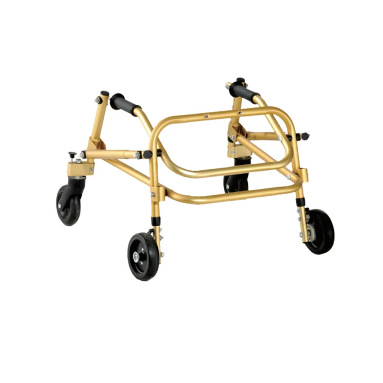Professional Light Children Posterior Walker Pediatric Gait Trainer ...