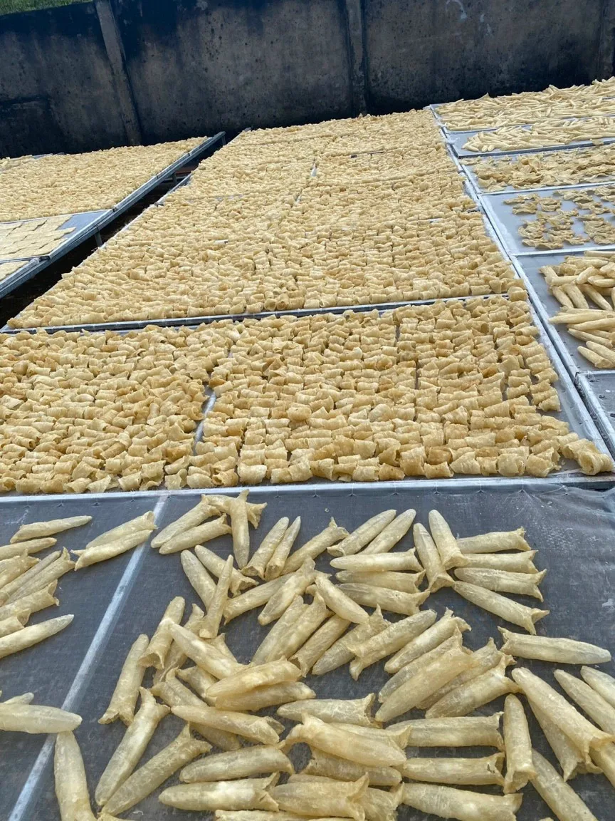 Wholesale Yellow/White Maw Dried Fish Maw Fish for Export at the Best ...